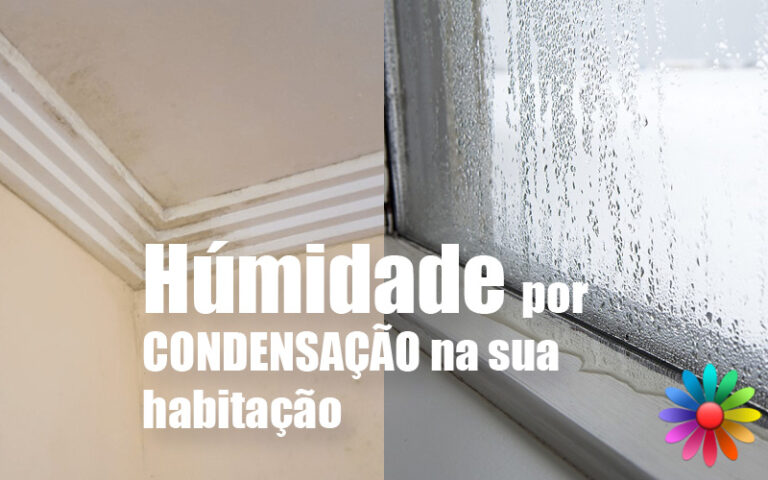 Humidade Ascendente - Causas e Soluções - Tintas e Pintura