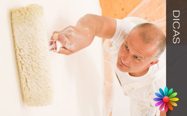 Primários - Que tipos de primários existem, para que servem e como ...